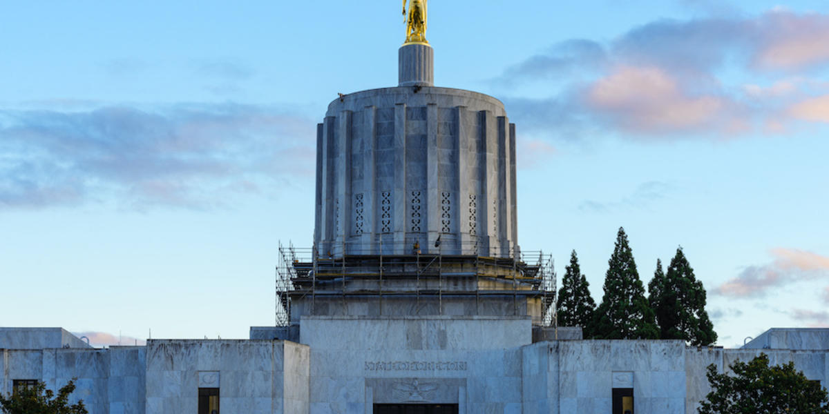 Oregon - Oregon Ballot Measure 114 – Magazine Ban and Permit To ...